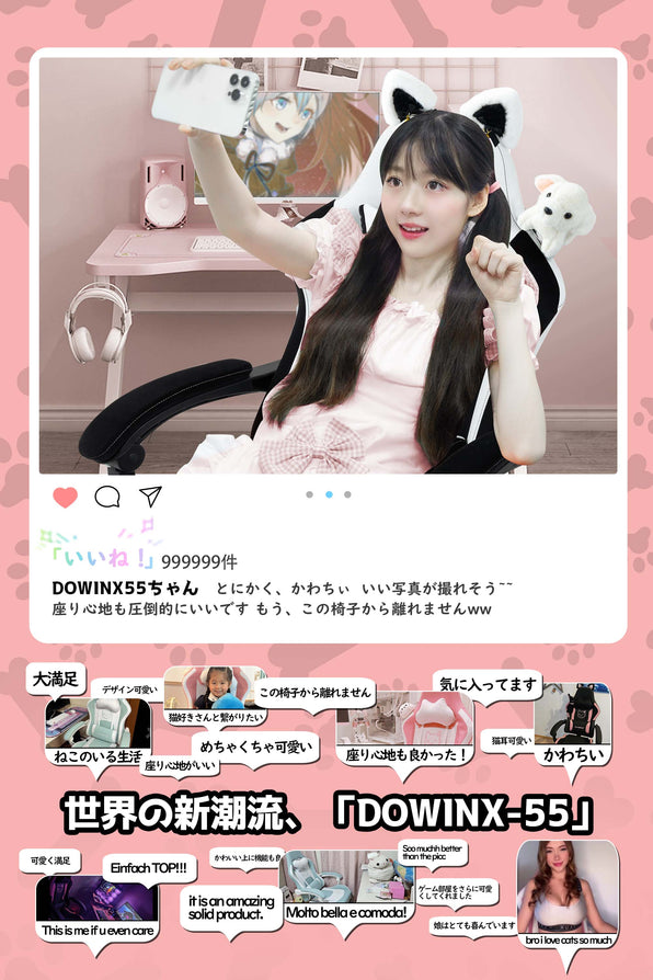 キュートチェア – DOWINX.JP